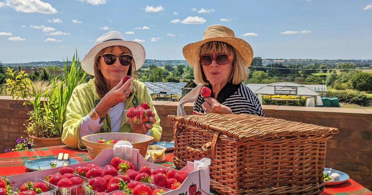 Celebrity Antiques Road Trip | Stephanie Beacham and Amanda Barrie ...