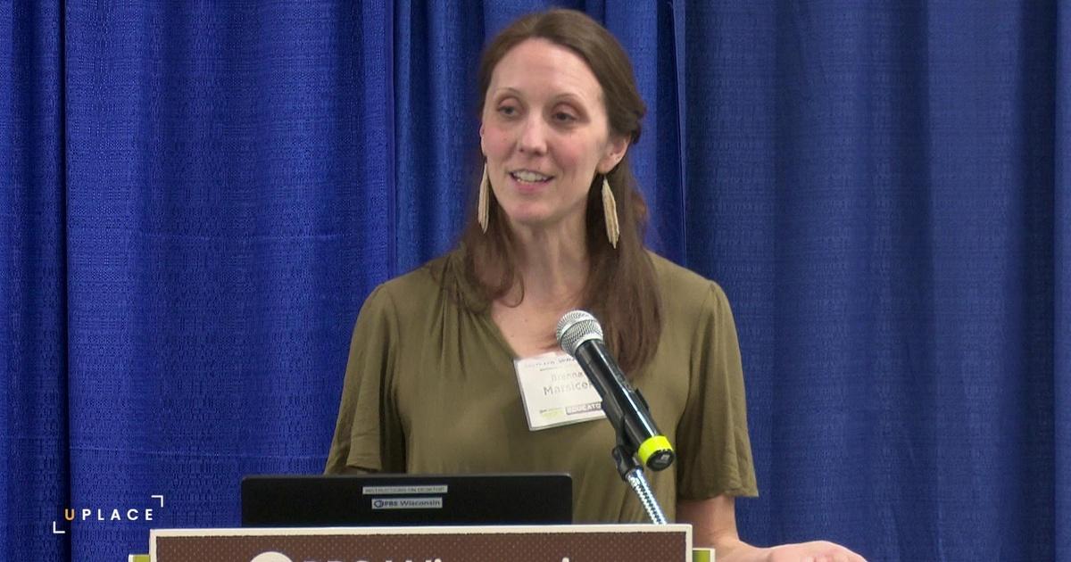 University Place | Preventing Bird-Window Collisions at Your Home | WSIU