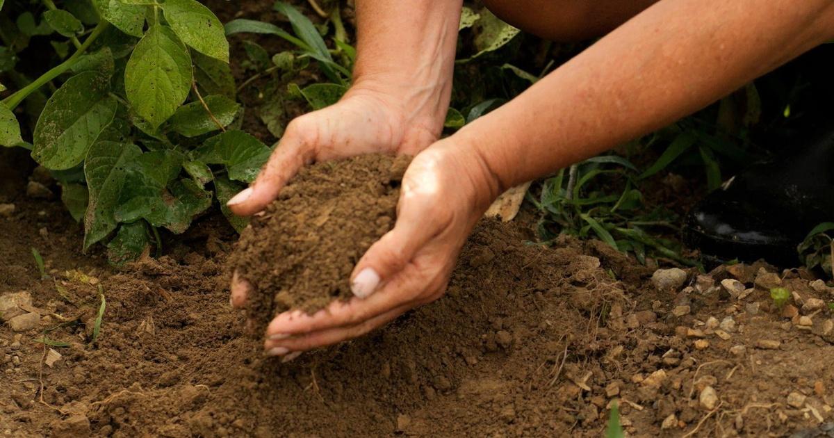 French Magnolia Cooks | French Magnolia Cooks: Soil Secrets | Season 2 ...