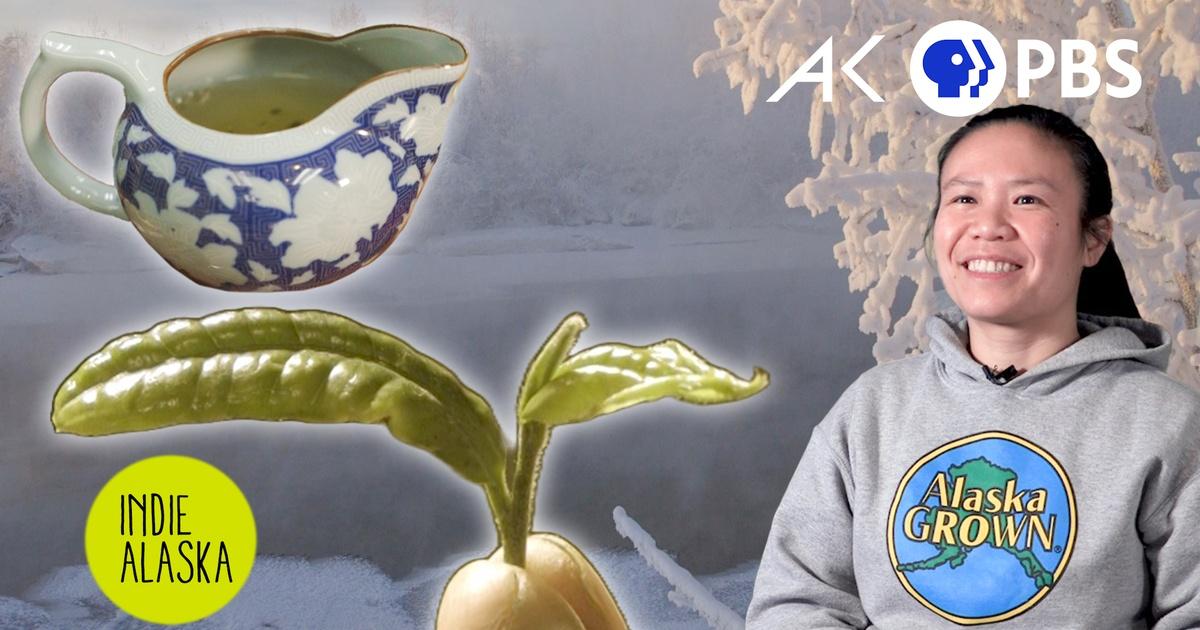 Indie Alaska | How to grow tea at -35°F | INDIE ALASKA | Season 11 ...