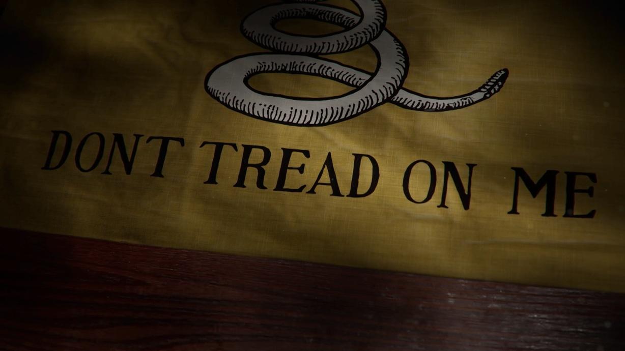 Flags 101 - The Gadsden Flag | Watch on PBS Wisconsin