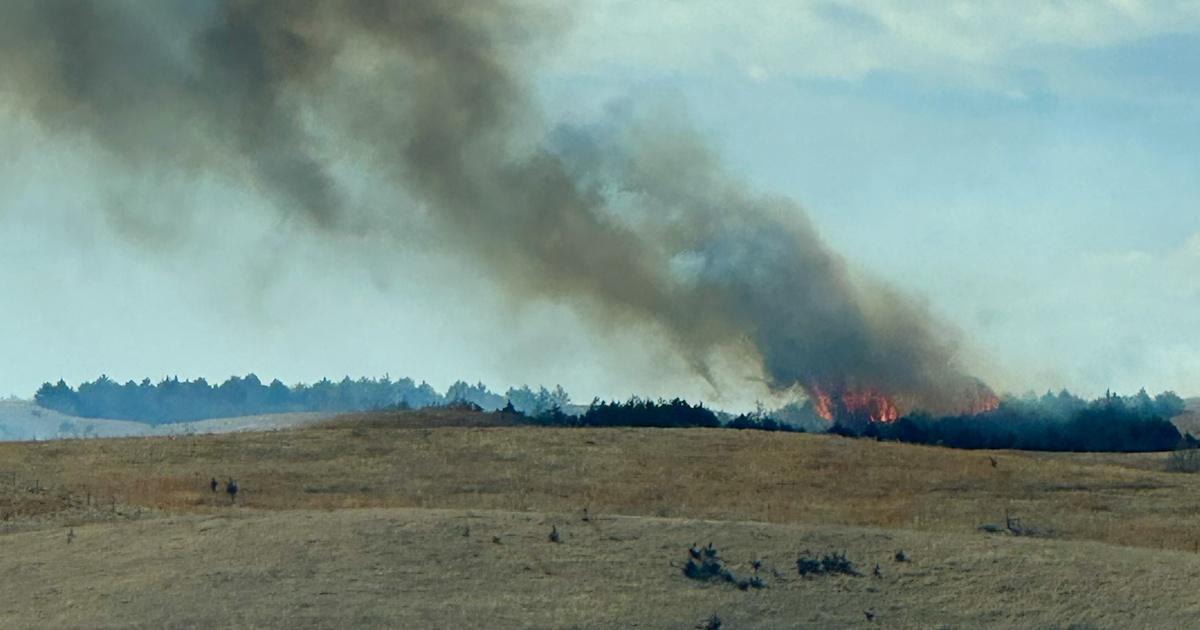 Backyard Farmer | Fire Prevention & Pine Needle Blight | WTTW