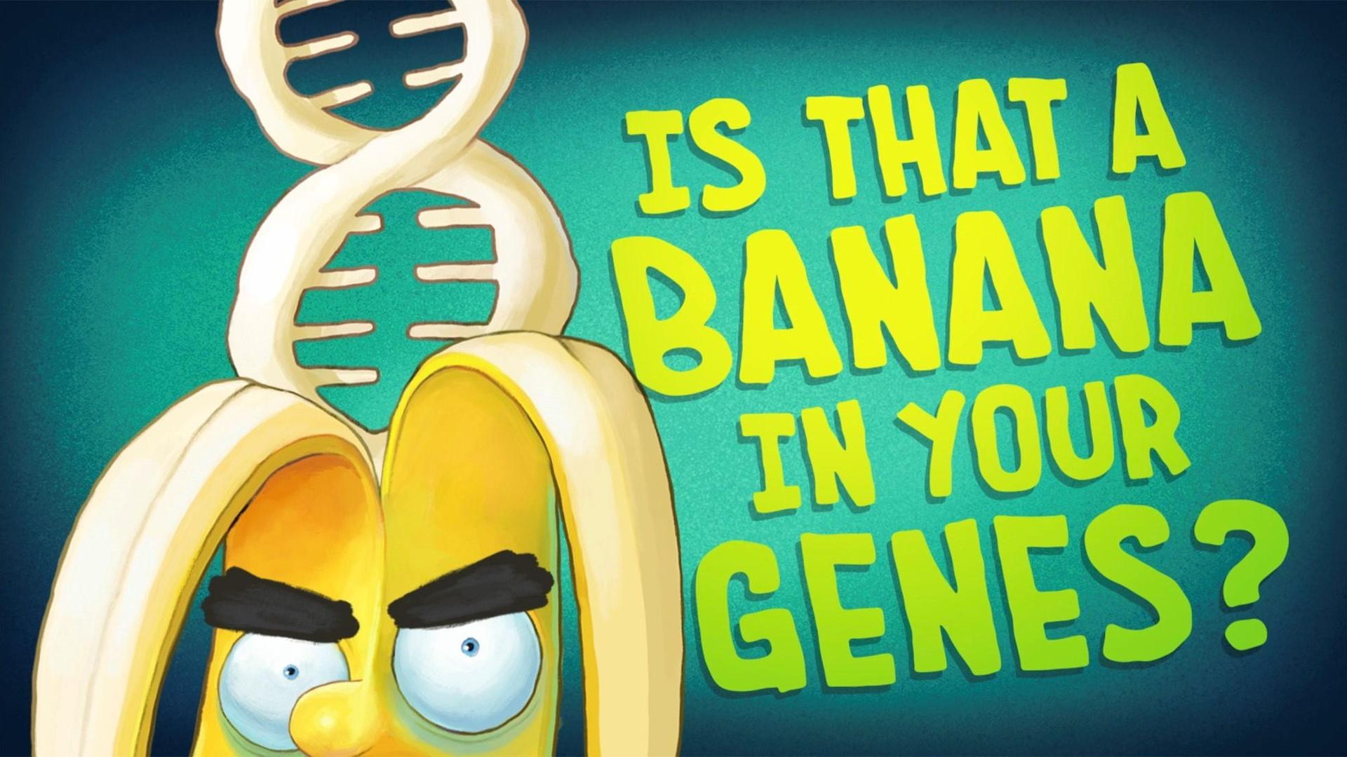 The Gene Explained | Is That a Banana in Your Genes? | The Gene | WLIW