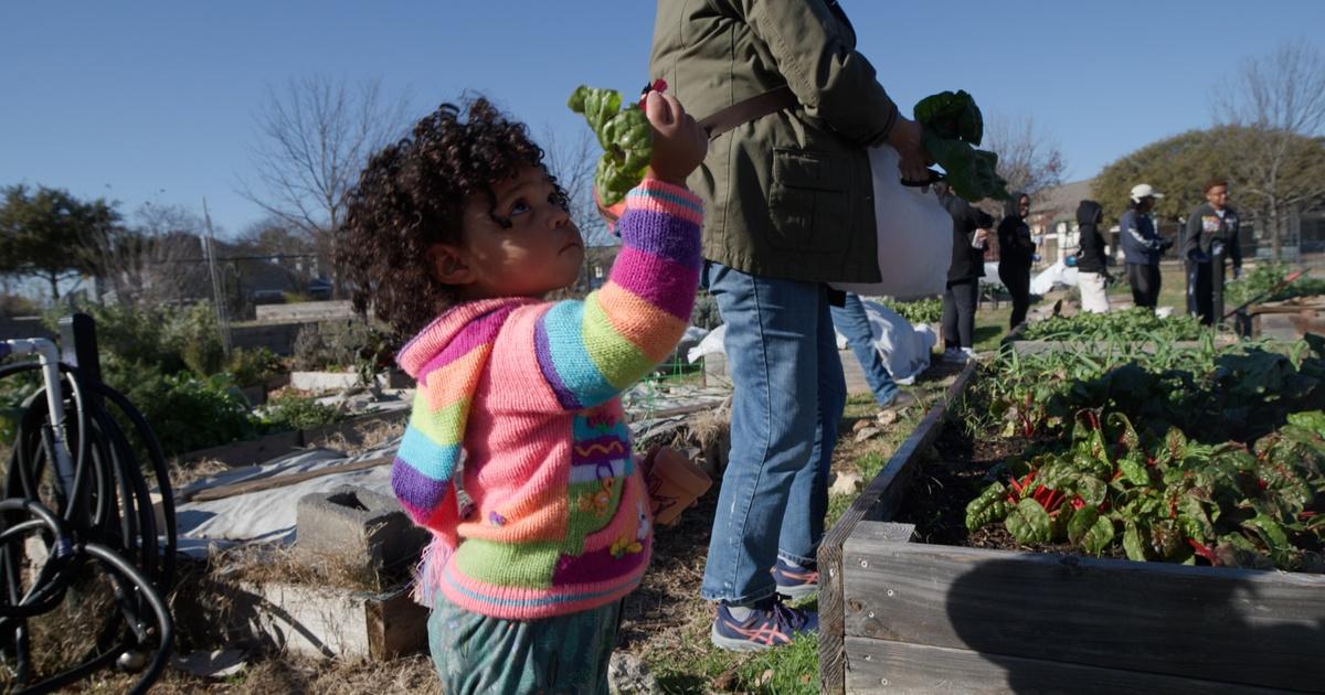 Decibel | Growing Community At Garden Storytime | PBS