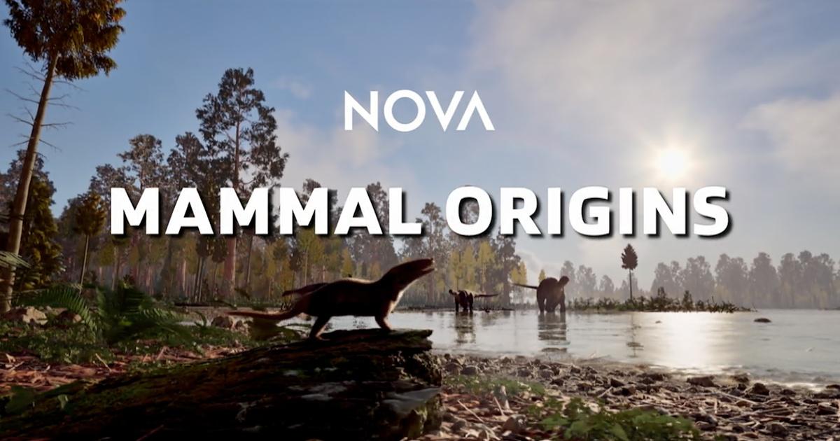 WTVP Spots | TRAILER | NOVA 5304 | NOVA | Mammal Origins | Season 2026 ...