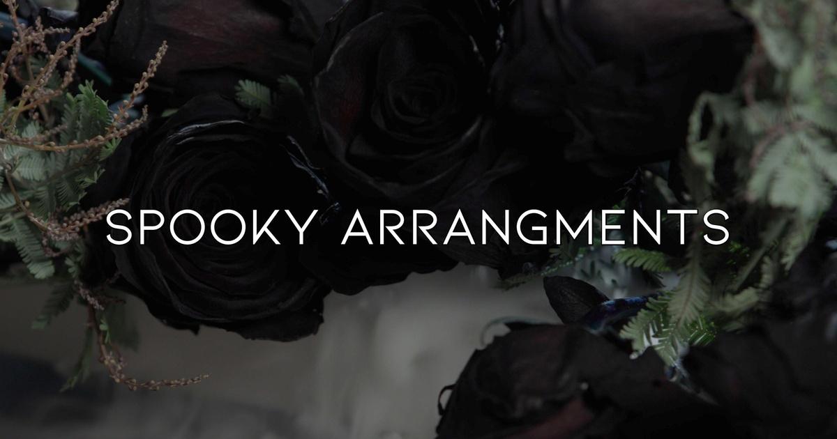 BloomTV | Spooky Arrangements with Ashley. | PBS
