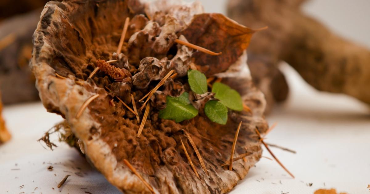 Oregon Art Beat | Julie Beeler | Season 24 | Episode 6 | PBS