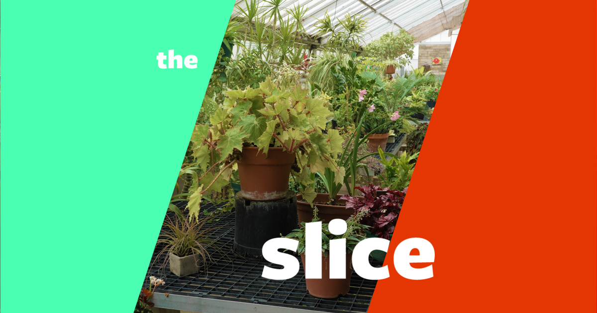The Slice | Visit Northern Minnesota's Botanical Paradise | Season 2023 ...