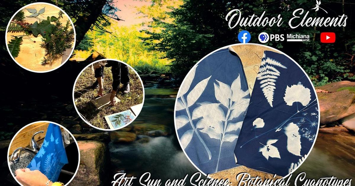 Outdoor Elements | Art, Sun and Science: Botanical Cyanotypes | PBS