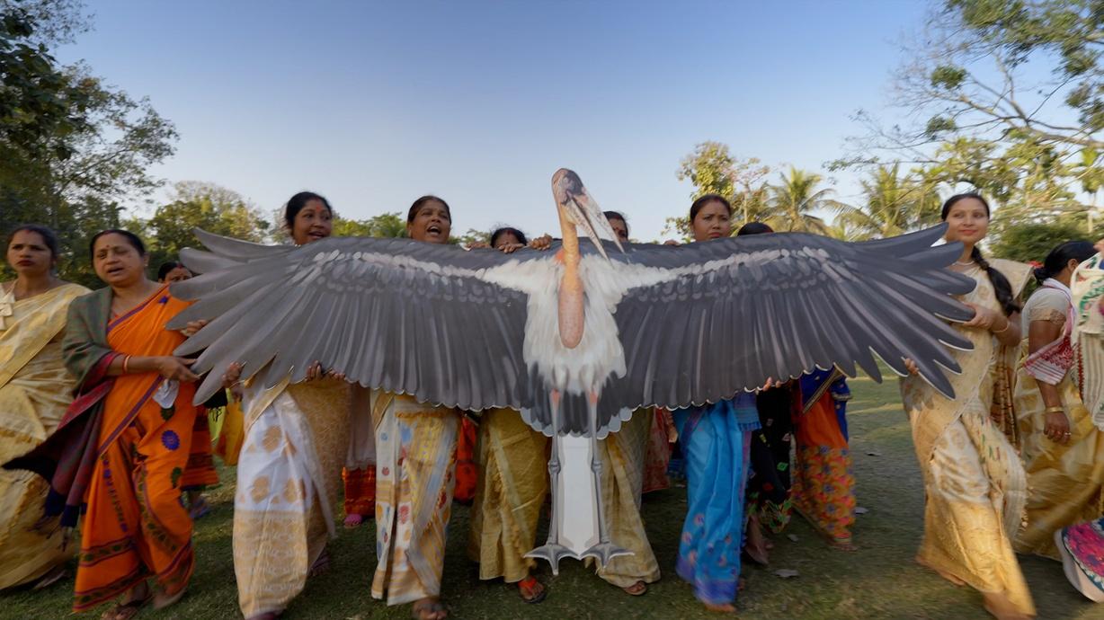 Stork Sisters | WILD HOPE | Watch on PBS Wisconsin
