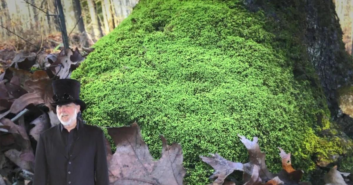 Steve Trash Science | PLANTS/WICKED WAVES OF SOUND | Season 2019 | PBS