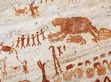 NOVA | Ancient Builders of the Amazon | Season 50 | Episode 3 | PBS