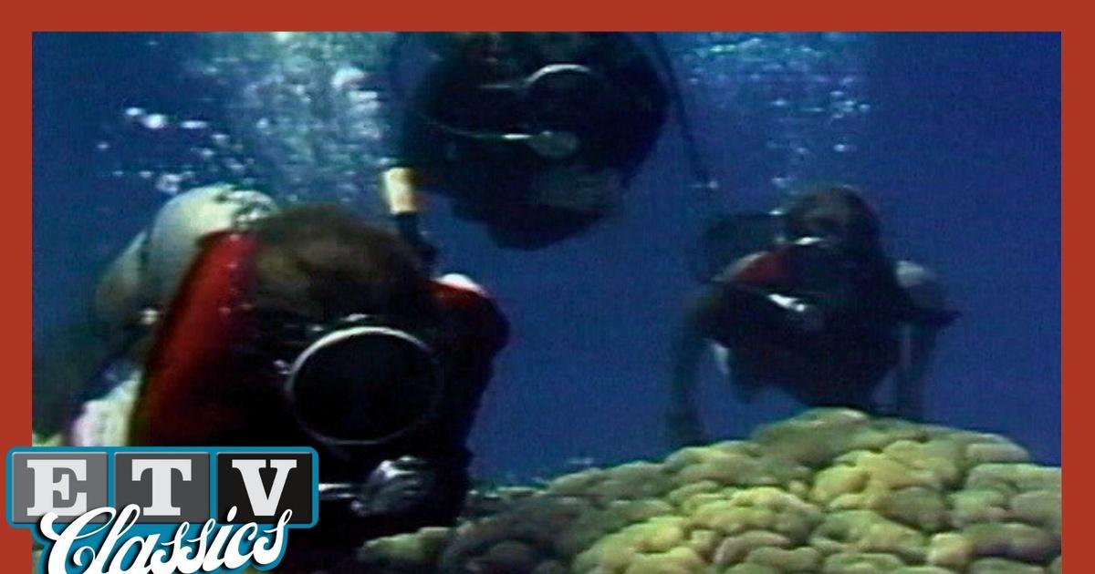 ETV Classics | Studio See - Scuba (1978) | Season 8 | Episode 10 | PBS