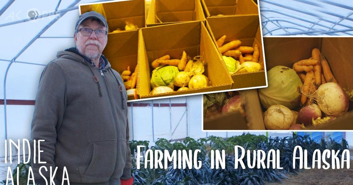 Indie Alaska | Running the only commercial farm in rural Alaska ...