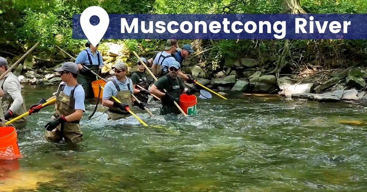 NJ Spotlight News: Delaware Watershed | Delaware Watershed: The ...
