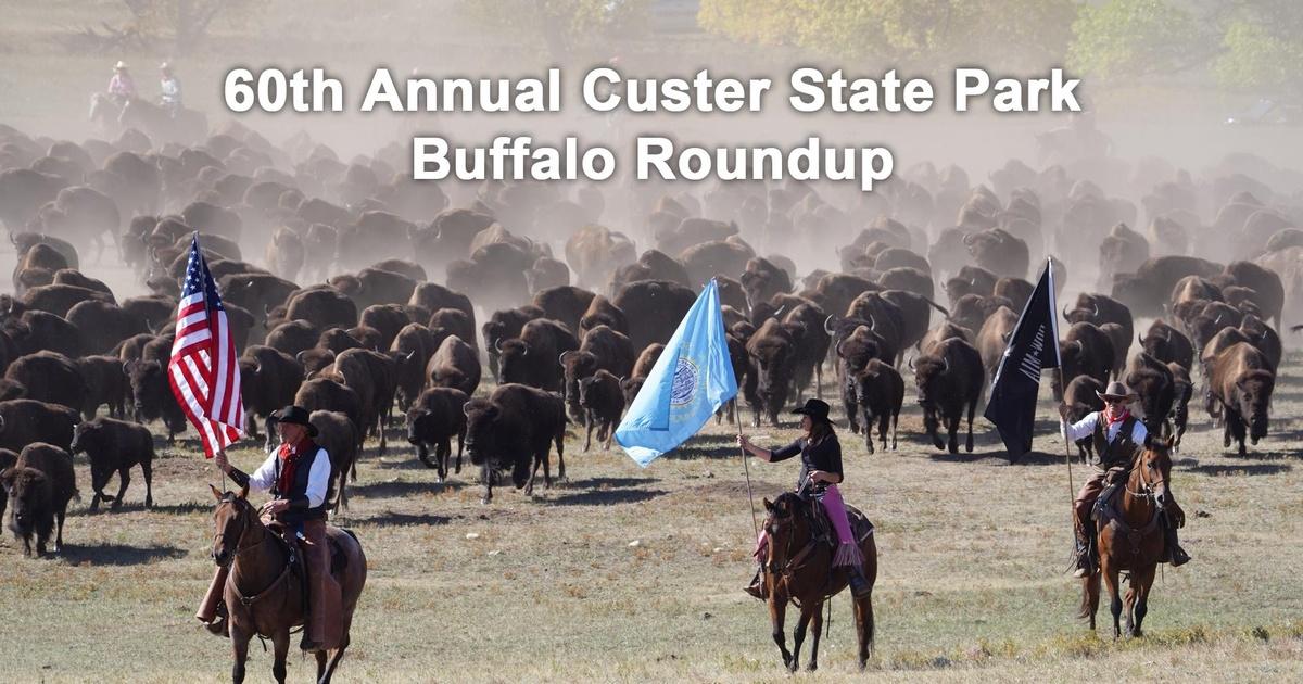 Custer State Park Buffalo Roundup | 2025 South Dakota Custer State Park ...