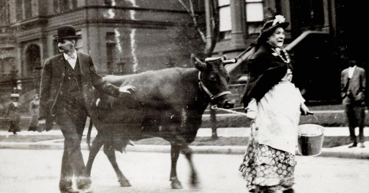 Chicago Stories | The Myth of Mrs. O'Leary | Season 1 | PBS