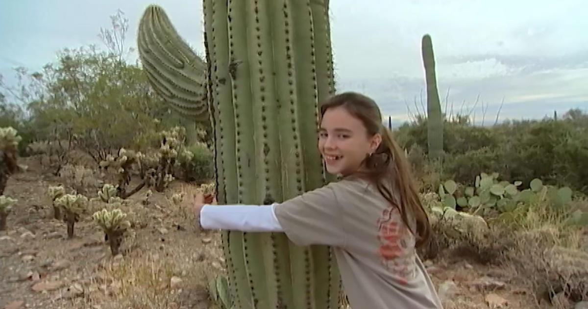 DragonflyTV | Cactus | Season 5 | PBS
