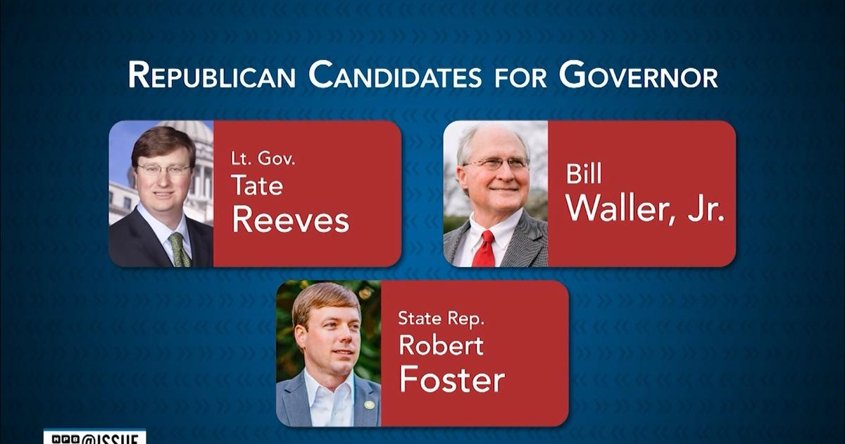 @ISSUE | Meet the Candidates: Republican Governor's Race | PBS