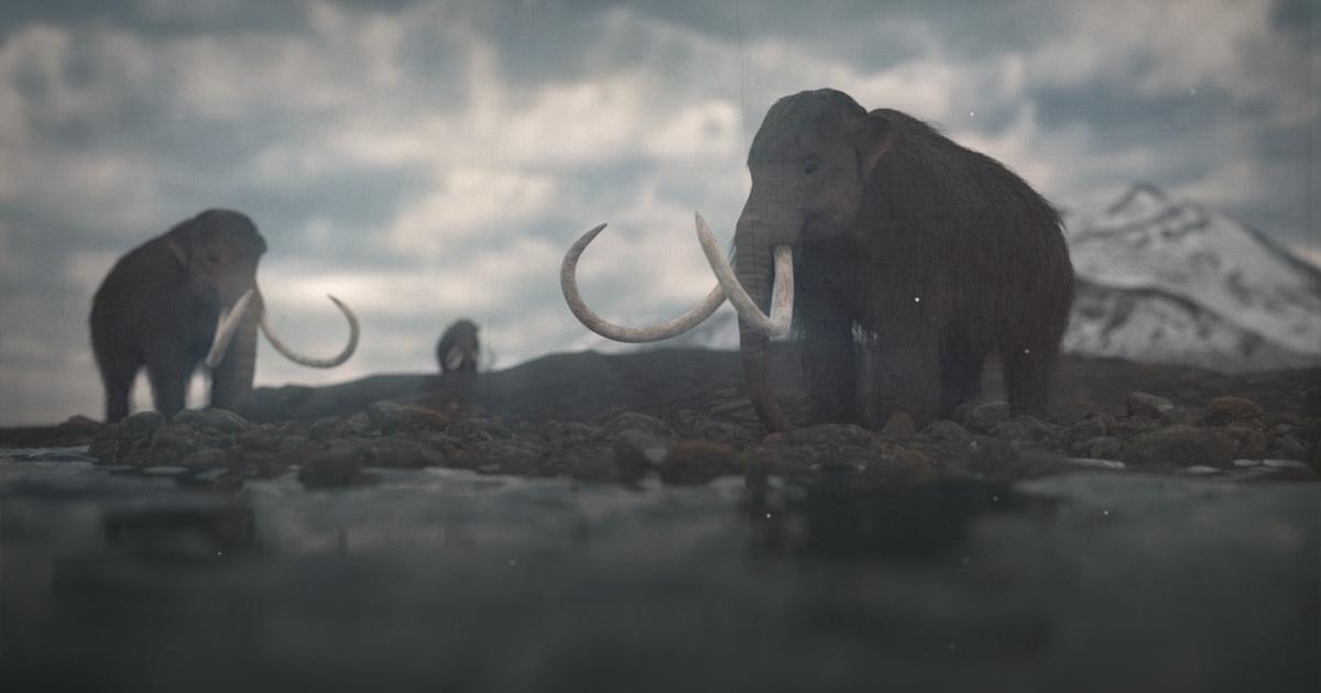 Eons | The Traits That Spawned the Age of Mammals | Season 4 | Episode ...