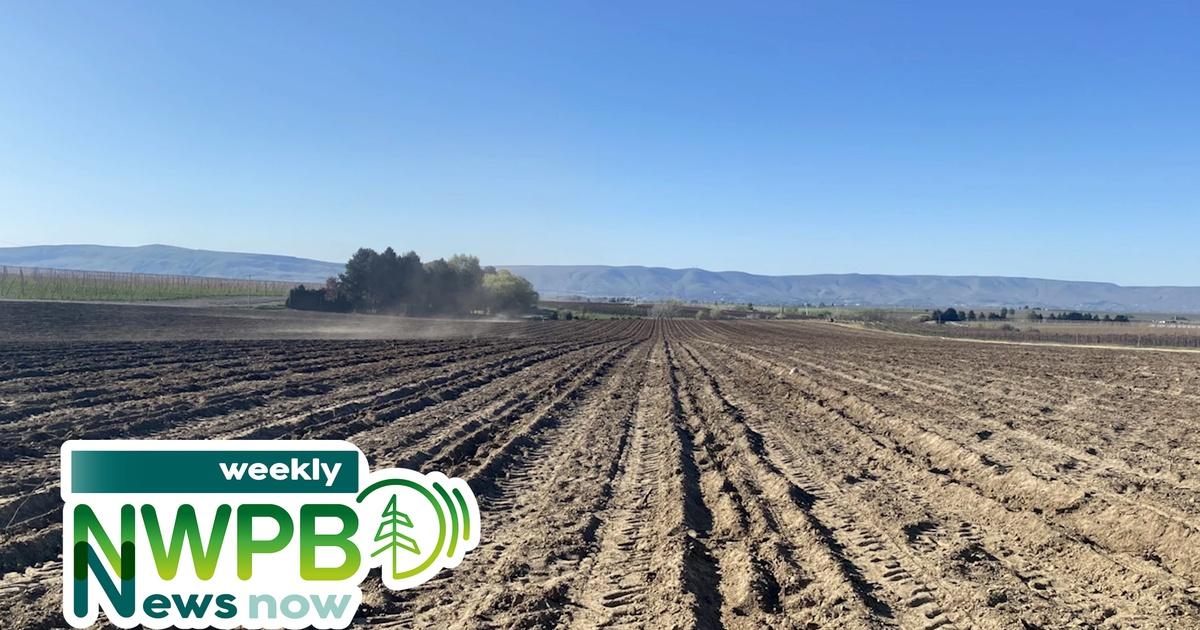 NWPB Weekly News Now | Drought Conditions in the NW, Norovirus in Tri ...