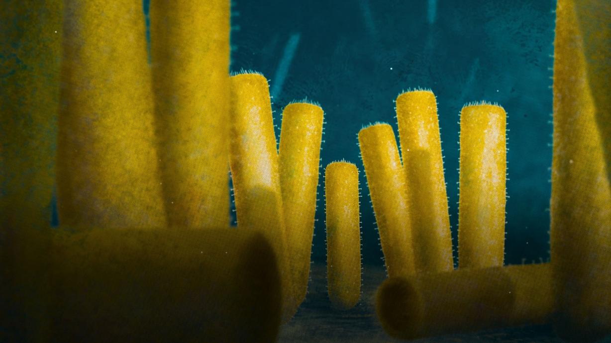 The Second Time Sponges Took Over The World | Watch Eons on PBS Wisconsin