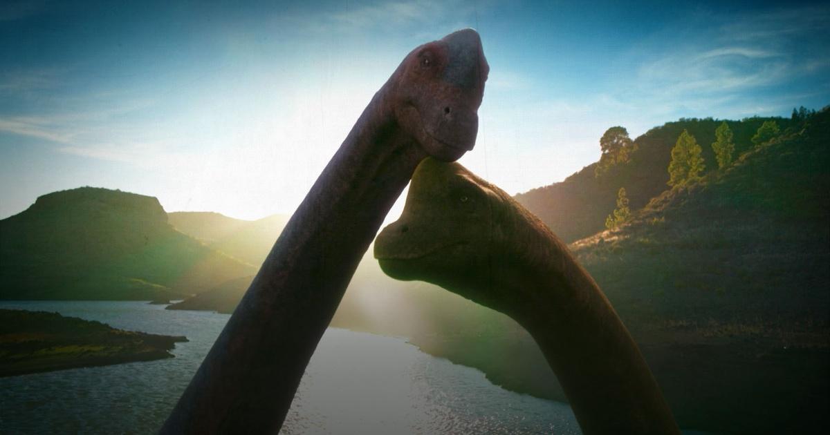 Eons | The Dinosaurs Too Big To Be Dinosaurs | PBS