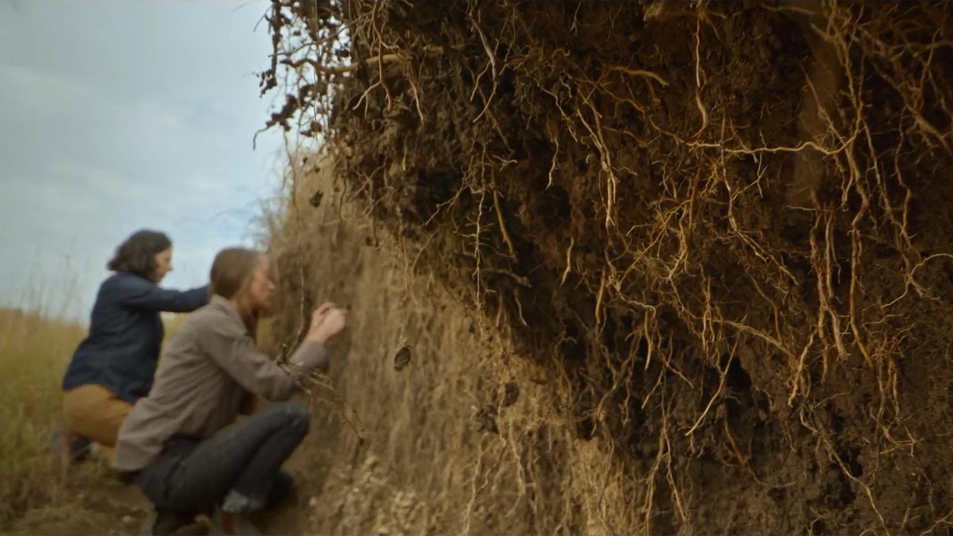 Scientists Look to Soil for Answers on Climate Change | Evolution Earth ...