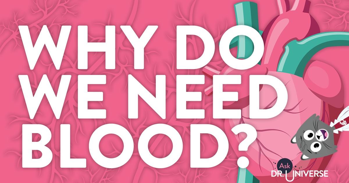 Ask Dr. Universe | Why Do We Need Blood? | Episode 16 | PBS