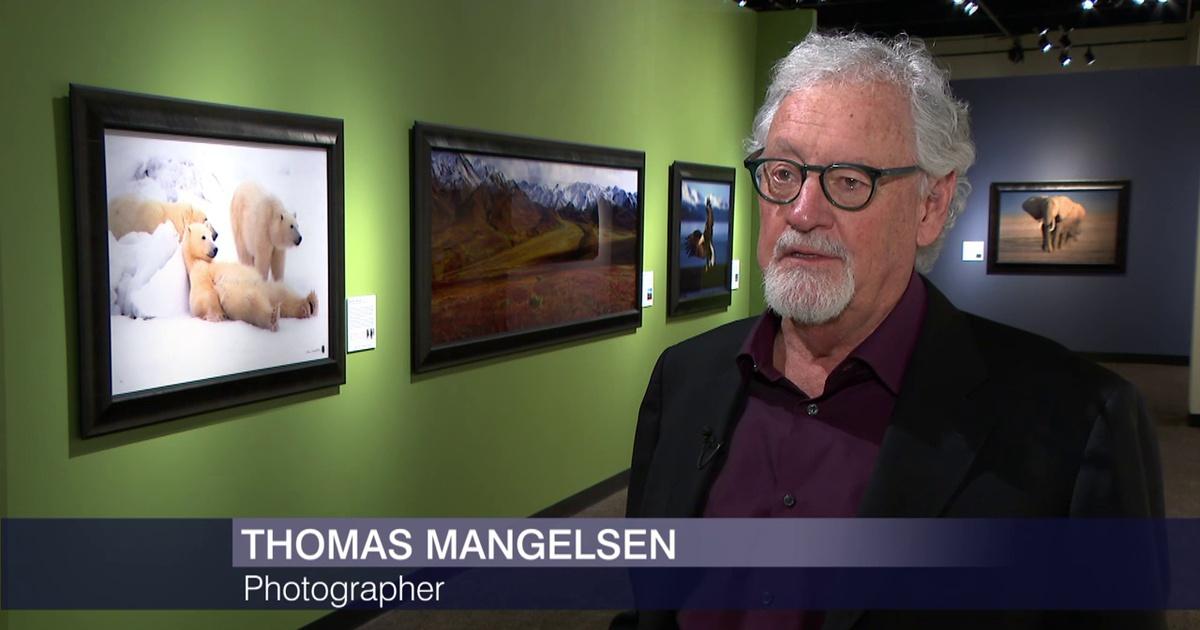 Chicago Tonight | The Wild Life of Nature Photographer Thomas Mangelsen ...