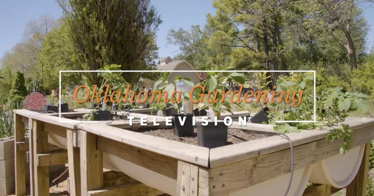 Oklahoma Gardening | Planting Vegetables on the Best of Oklahoma ...