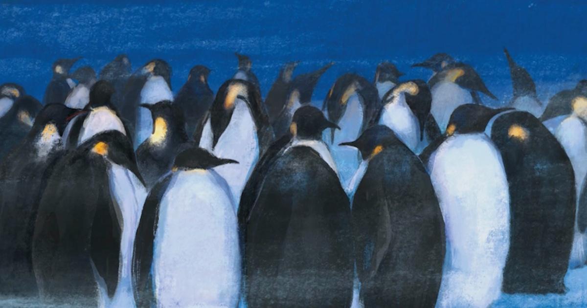 Camp TV | Read Aloud: “Penguin Journey” | Season 2023 | PBS