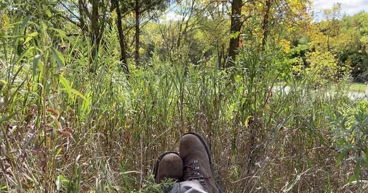 Almanac | David Gillette Essay | A Field of Grass in Autumn | Season ...