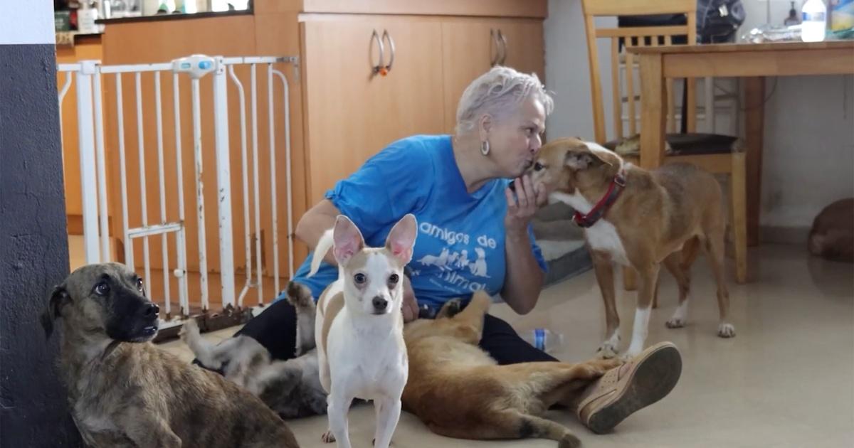 True North: Honest Stories of Finding Home | Running with the Big Dogs ...