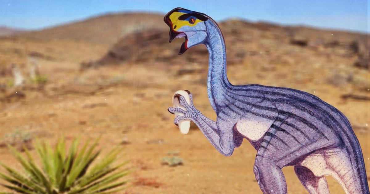 Eons | The Case of the Dinosaur Egg Thief | Season 2 | Episode 39 | PBS