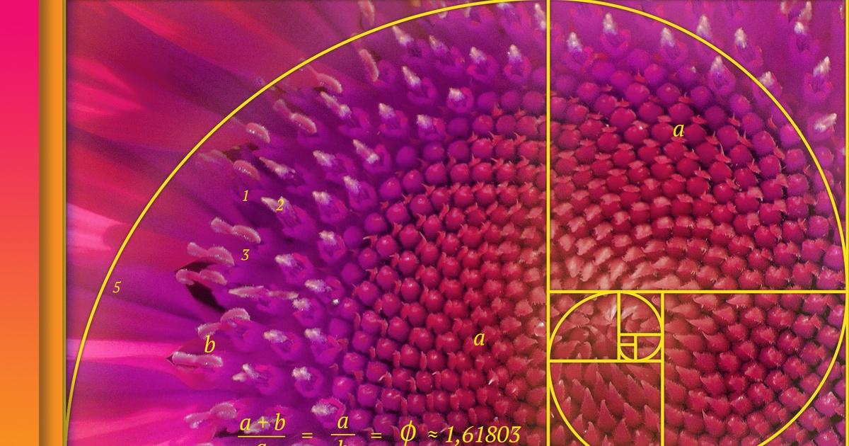 Be Smart | The Golden Ratio: Is It Myth or Math? | Season 9 | Episode 2 ...