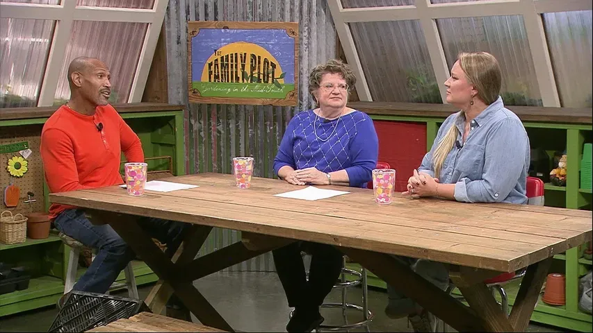 The Family Plot Pbs