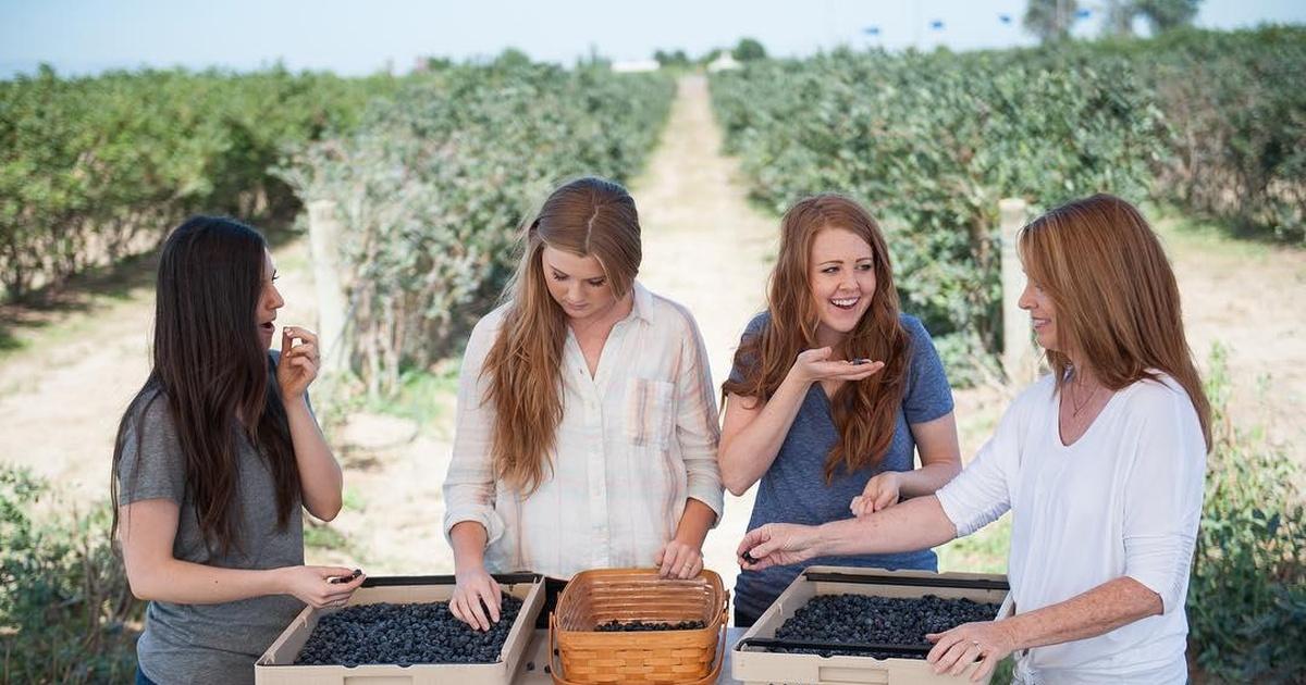 Valley PBS Spotlight | Triple Delight Blueberries | Season 1 | PBS