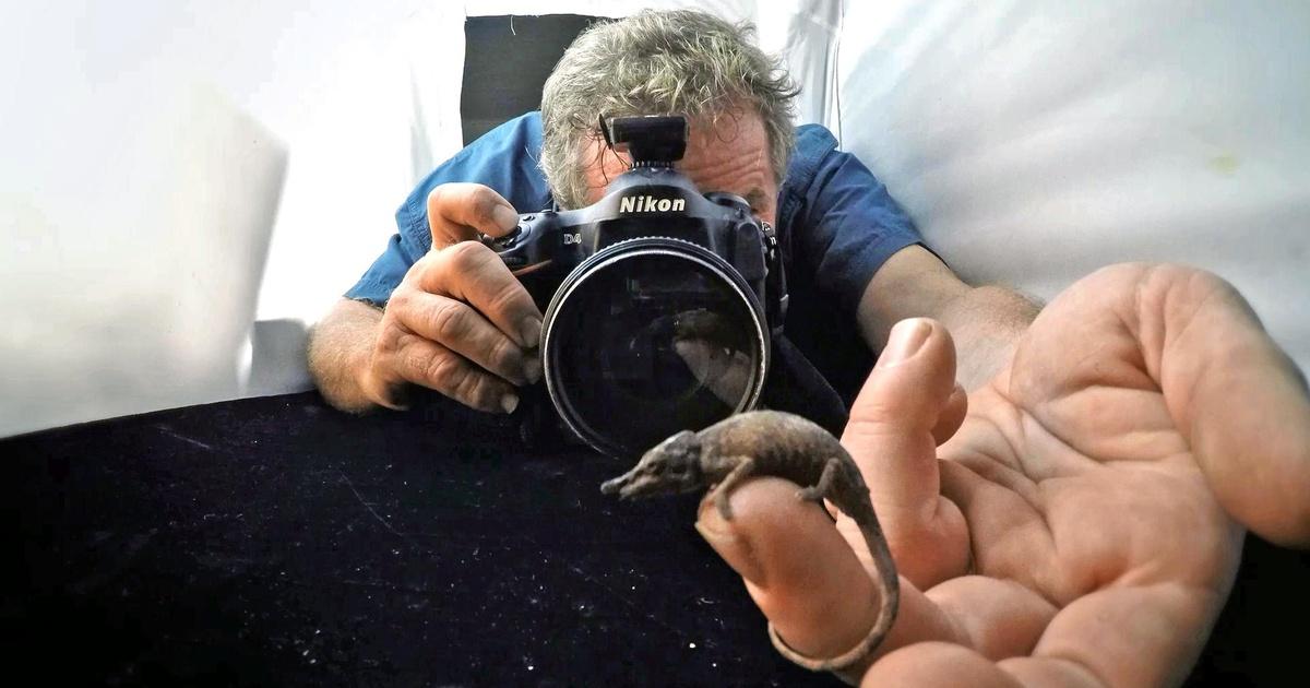 Rare | Episode 1 | PBS