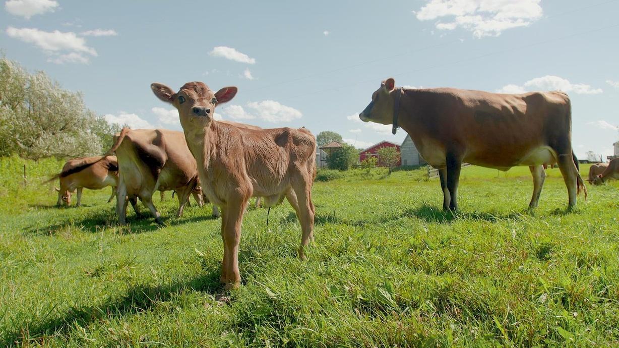 Life on Inga’s Farm | Watch on PBS Wisconsin