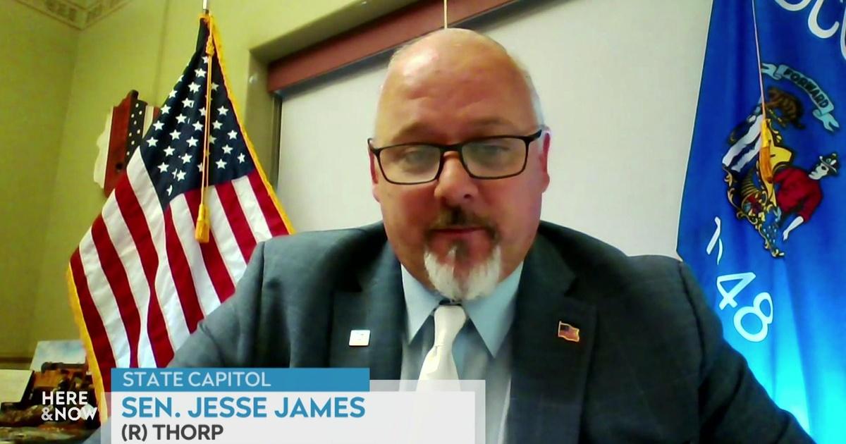 Here and Now | Sen. Jesse James On Mental Health Services Offered At ...