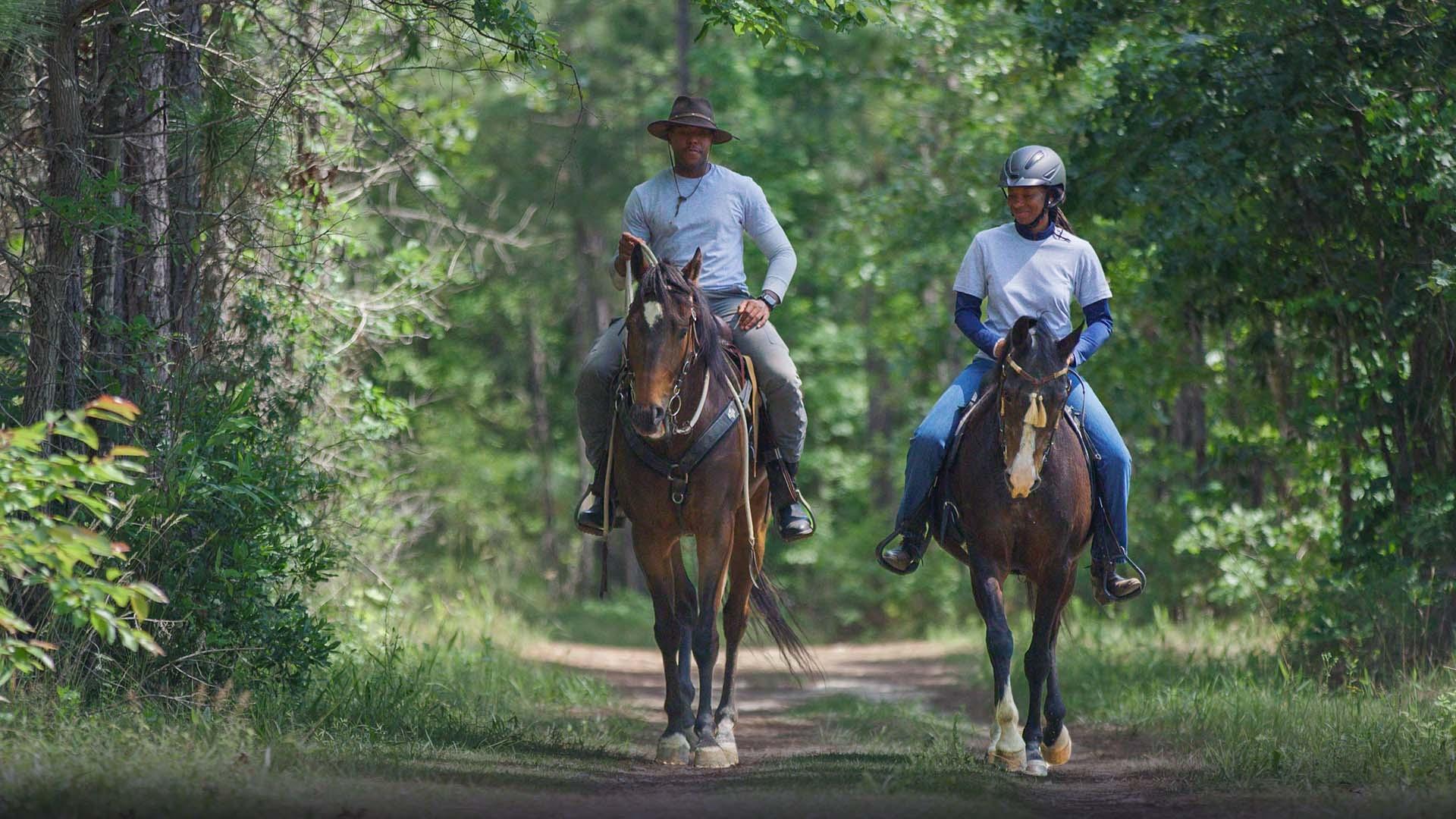 Longleaf Pine Trail, Carvers Creek State Park | Ten to Try | WLIW