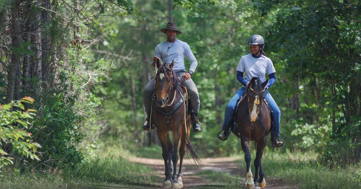 Ten to Try | Longleaf Pine Trail, Carvers Creek State Park | PBS