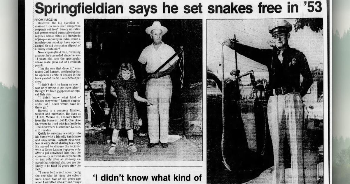 OzarksWatch Video Magazine | Hissy Fit: Springfield’s 1953 Cobra Scare ...