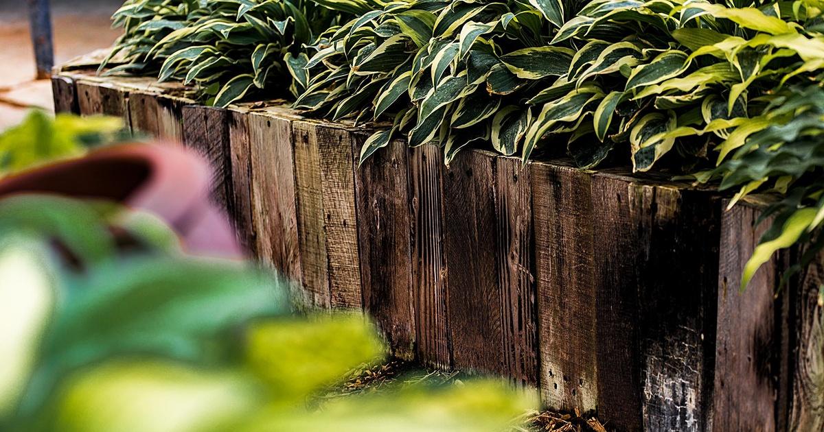 Modern Gardener | About Hosta House | Episode 9 | PBS