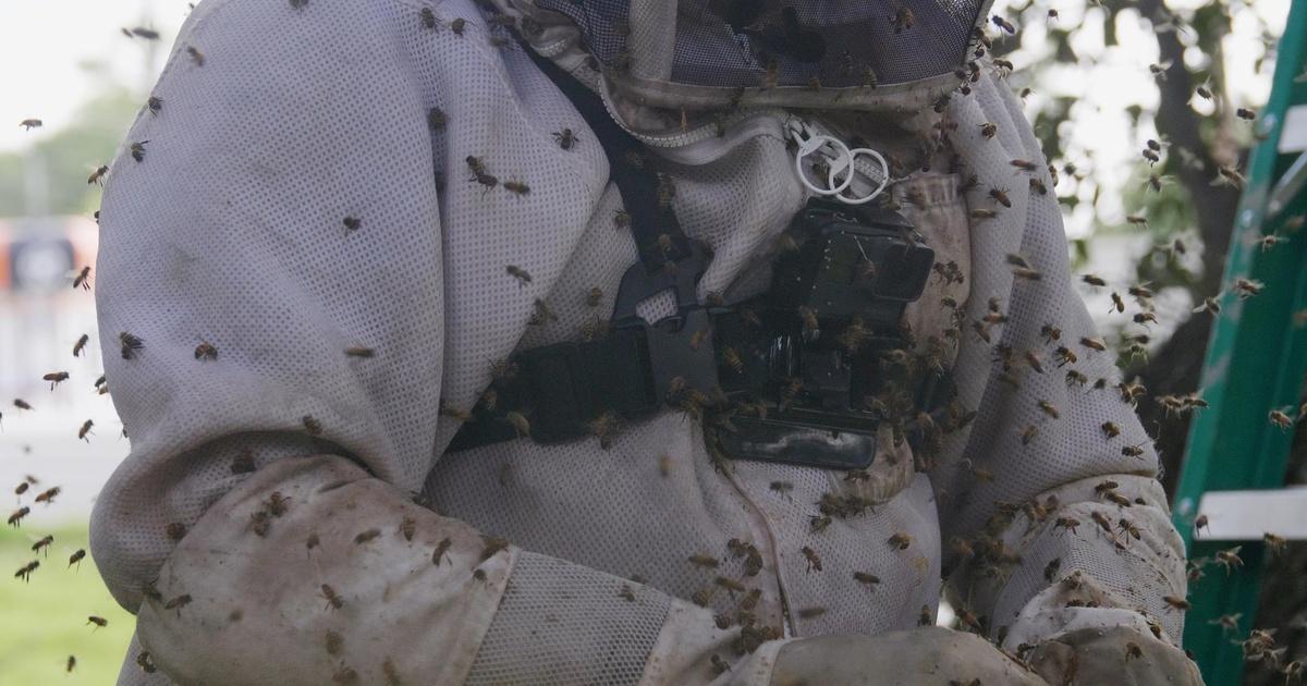 Charlie Bee Company | Welcome to TX Beekeeping! | Episode 1 | PBS