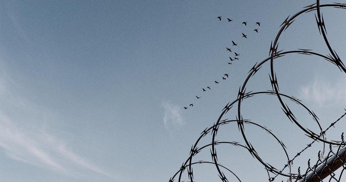 PBS News Hour | Searching for Justice: Life after Lockup | PBS