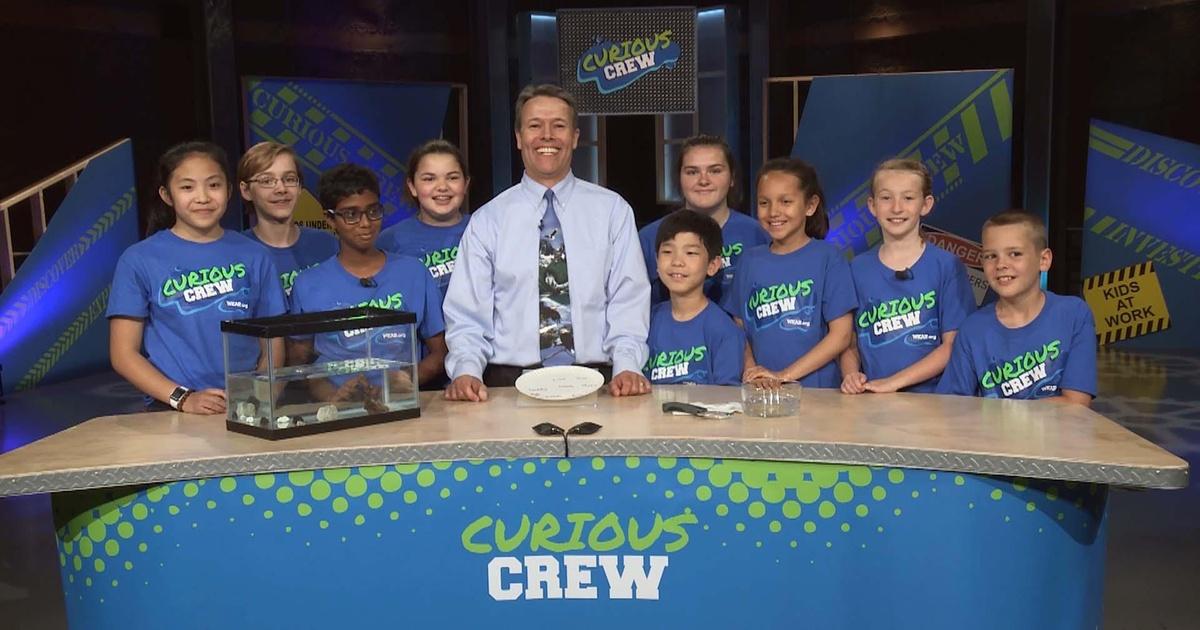 Curious Crew | Rocks | Season 5 | PBS