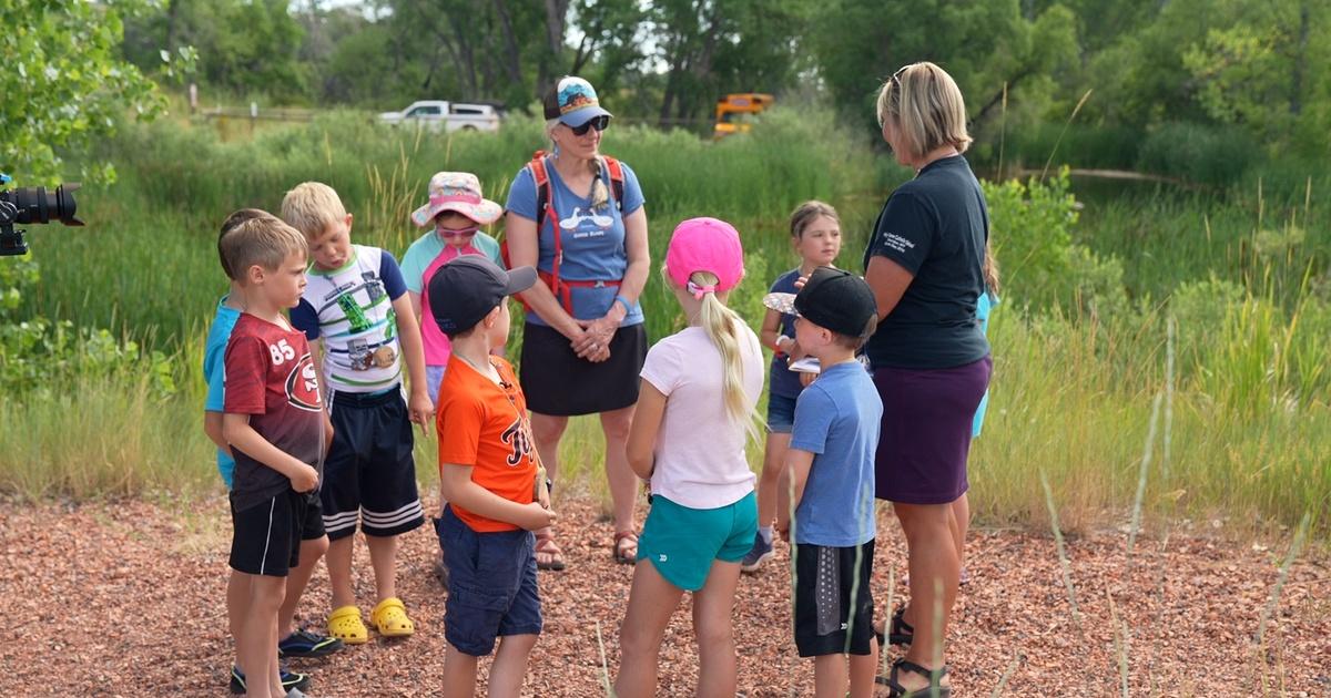 Nature WY | Food Webs | Season 2 | Episode 4 | PBS