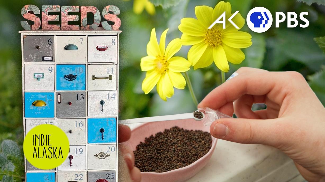 What is a seed library? Are they saving Alaska’s gardens? | Watch on ...